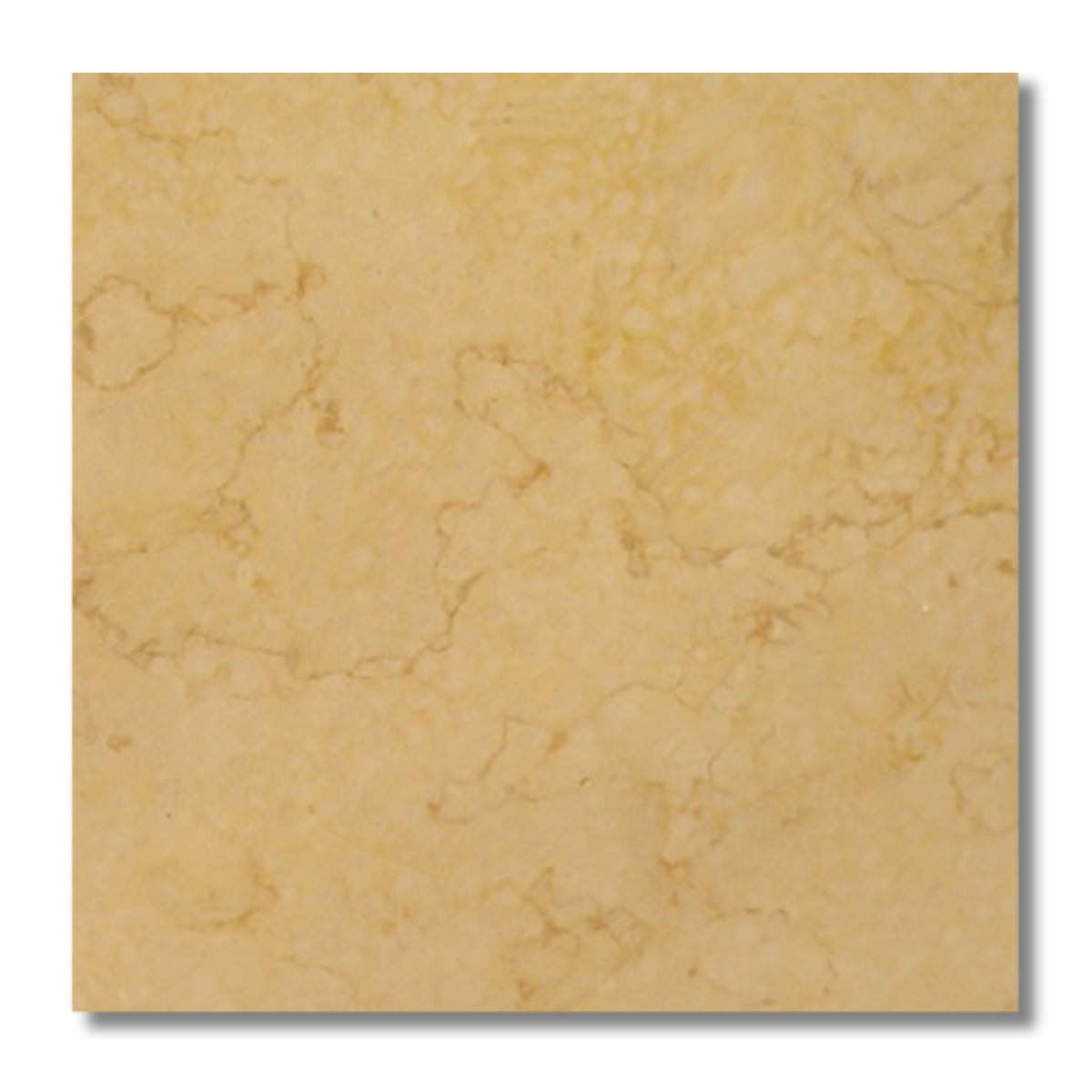 Jerusalem Sunny Gold 24 x 24 Polished Tile — Sinai Marble and Stone